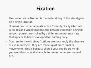 Visual attention | PPTX