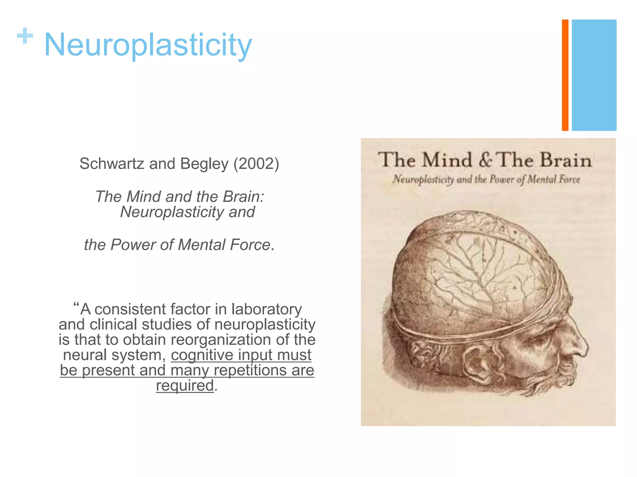 Visual Attention And Processing With Visual Only Im Pptx Physical