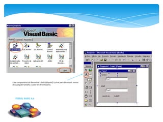 Visual basic | PPTX