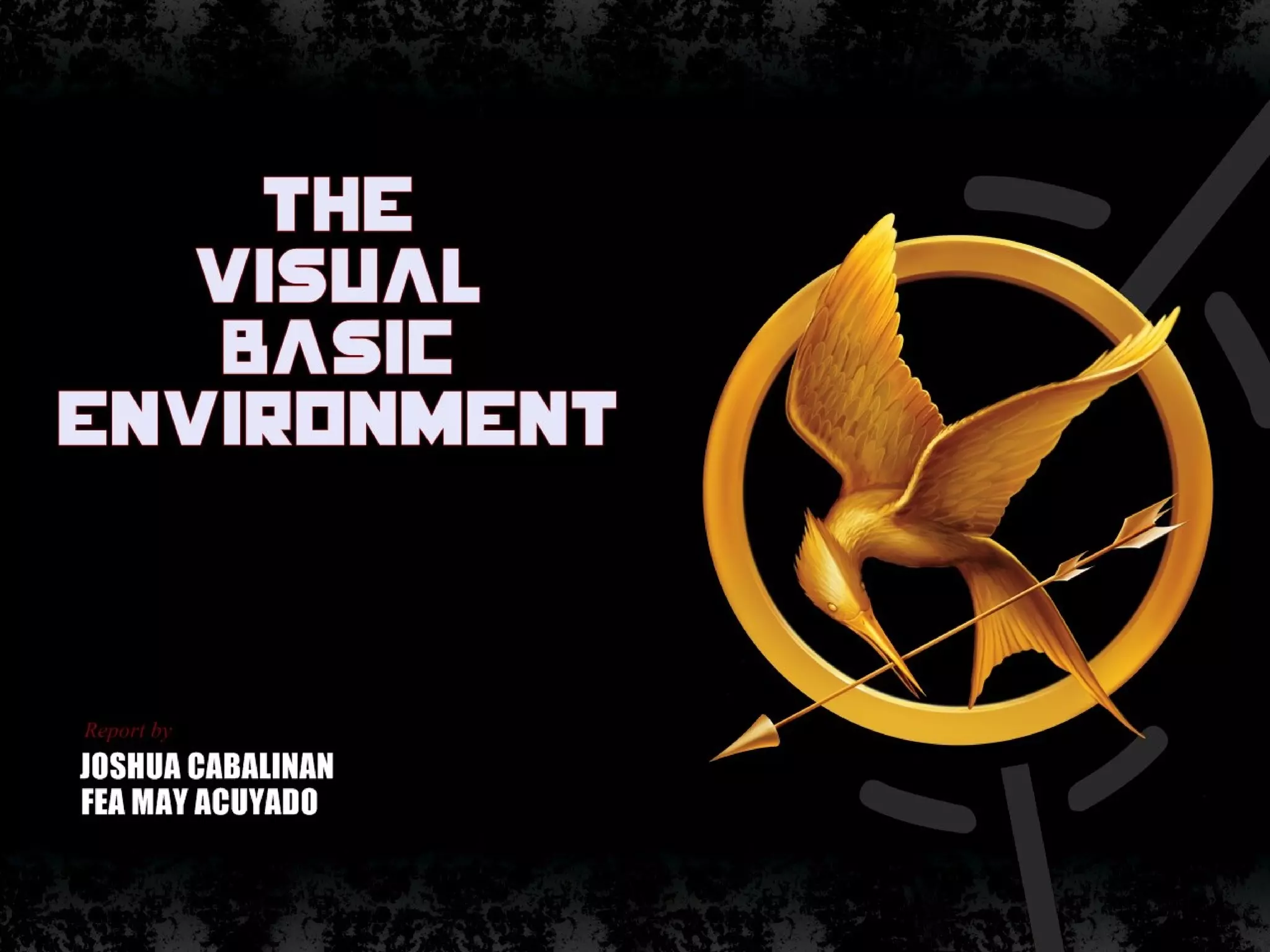 Visual Basic Ppt 