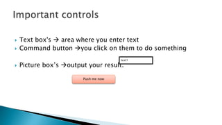 visual basic programming | PPTX