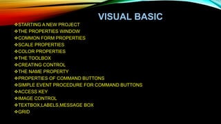 Visual basic | PPT