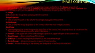 Visual Basic.pptx | Desktop Publishing | Computer Software and Applications