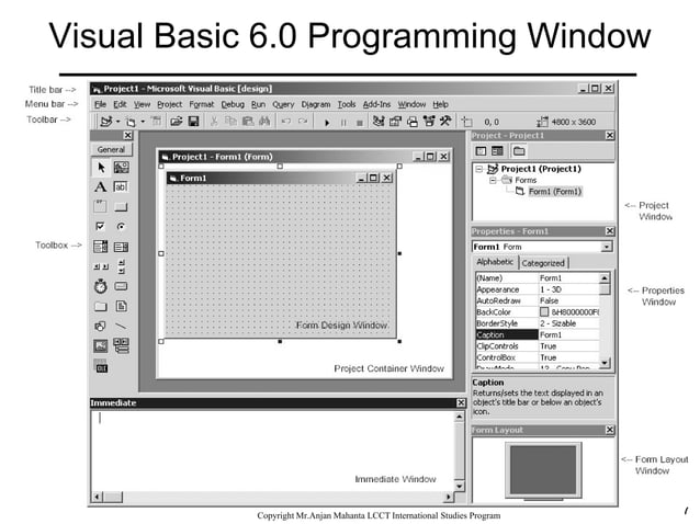 Visual Basic 6.0 | PDF