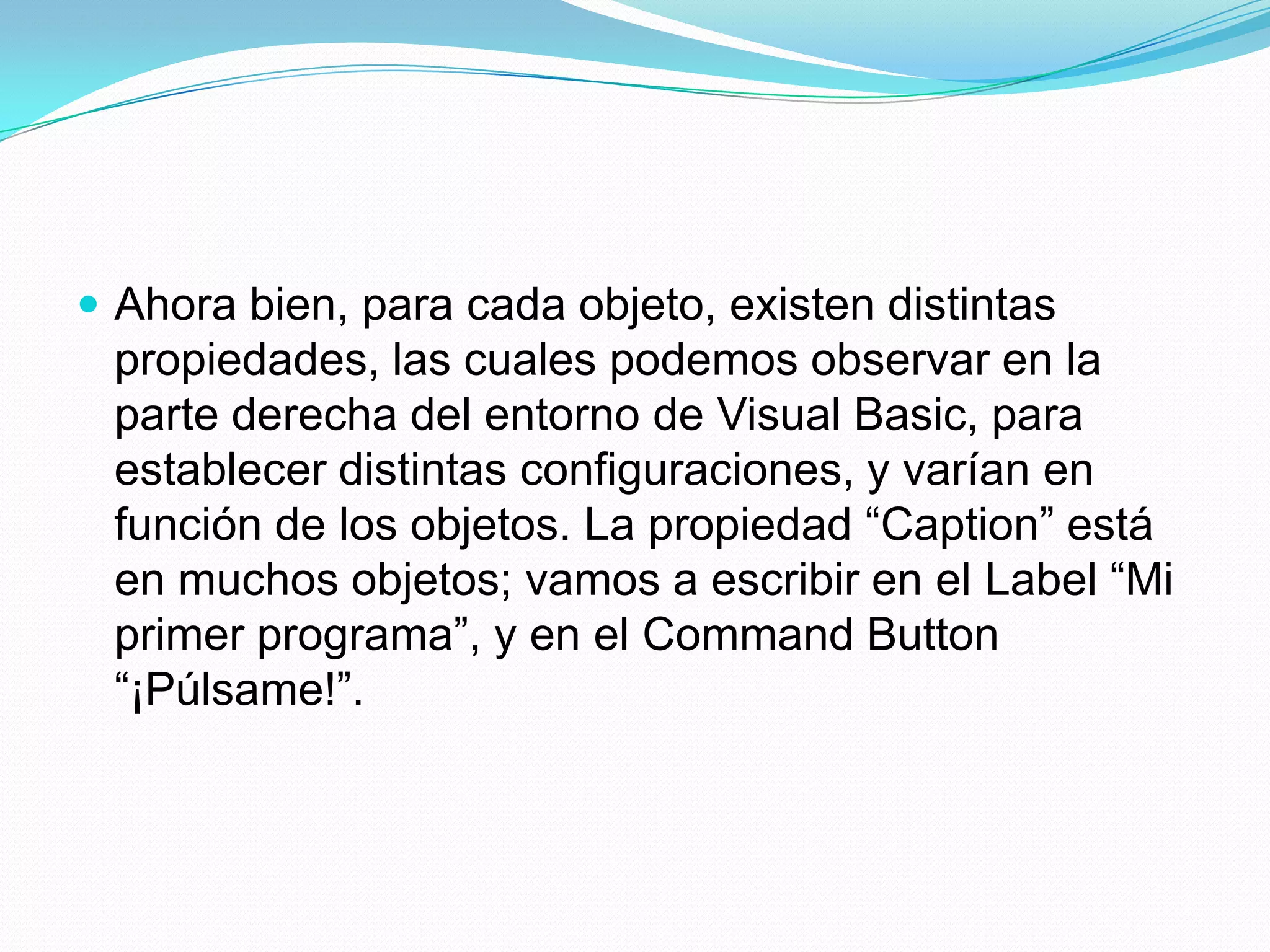 Visual Basic Presentacion | PPT