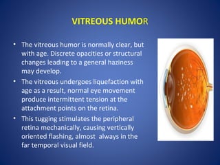 Visual changes in aging | PPT
