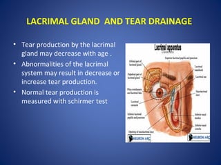Visual changes in aging | PPT