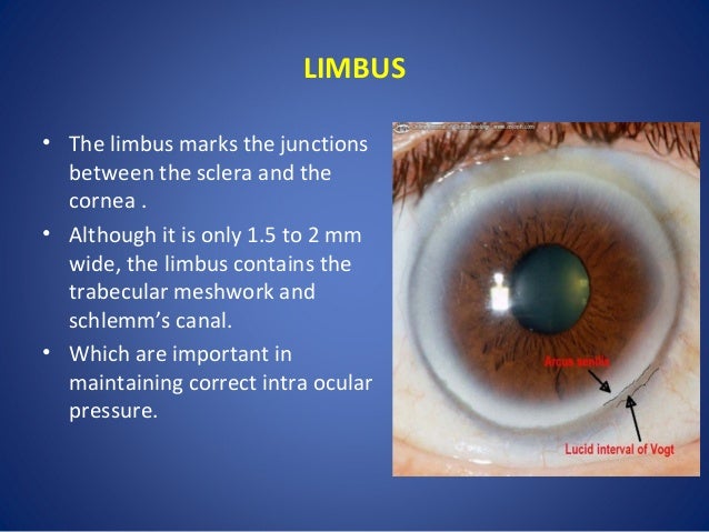 Visual changes in aging