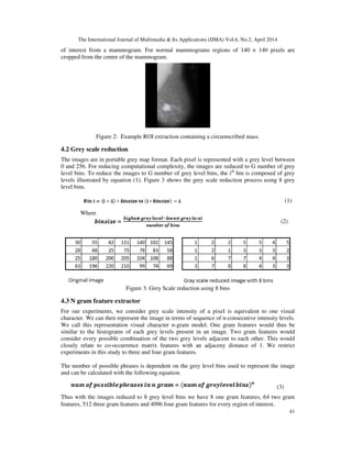 Visual character n grams for classification and retrieval of radiological images | PDF