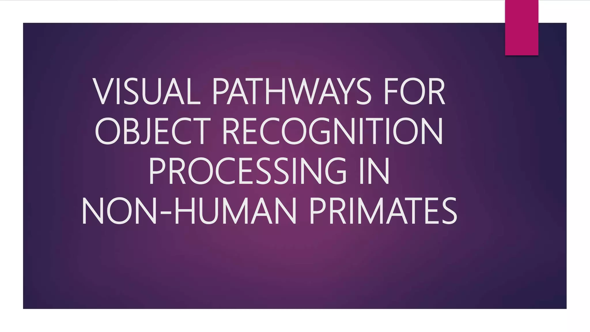 VISUAL COGNITION (ARIFA HUSSAIN).pptx