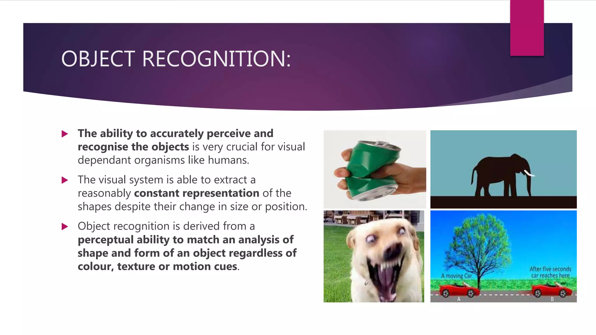 VISUAL COGNITION (ARIFA HUSSAIN).pptx