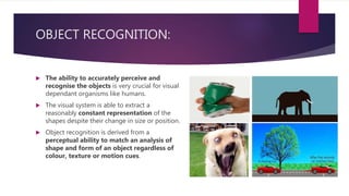 VISUAL COGNITION (ARIFA HUSSAIN).pptx
