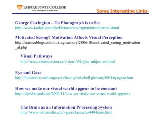 Visualization, Meaning Making and Collaboration | PPT