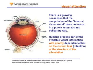 Visualization, Meaning Making and Collaboration | PPT