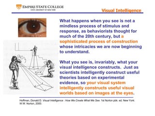 Visualization, Meaning Making and Collaboration | PPT
