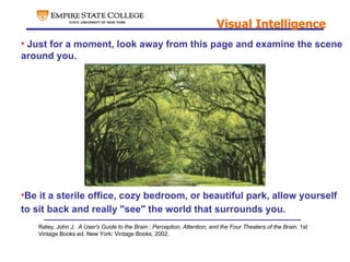 Visualization, Meaning Making and Collaboration | PPT