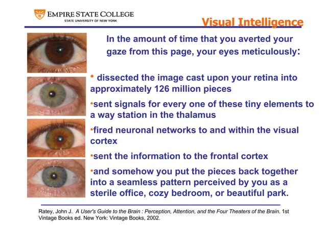 Visualization, Meaning Making and Collaboration | PPT