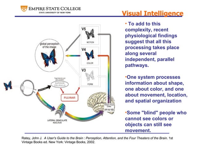 Visualization, Meaning Making and Collaboration | PPT