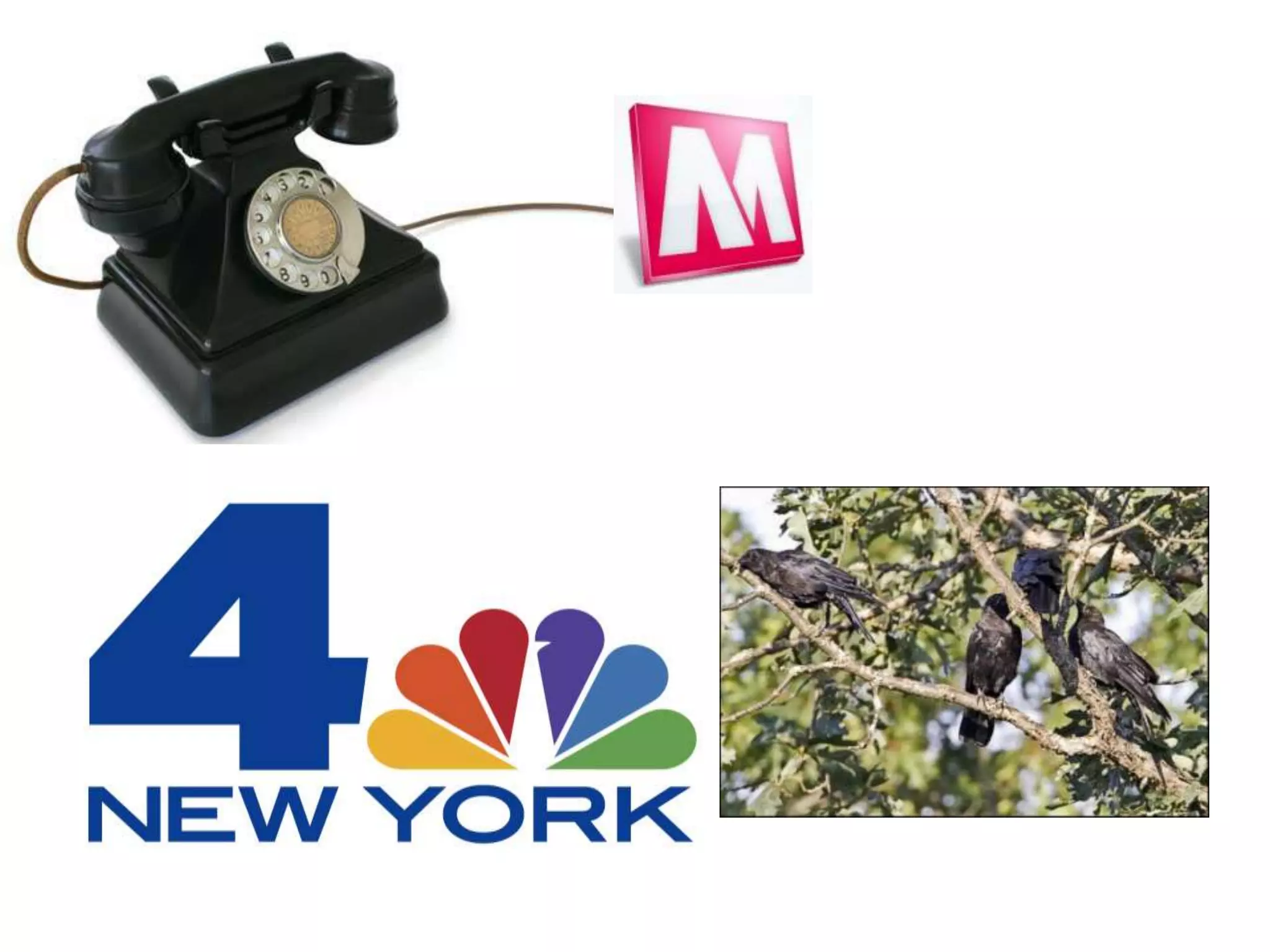 Visual connect | PPT