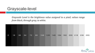 Visual Cryptography | PPTX