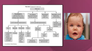 VISUAL DEFECTS IN CHILDREN.pptx