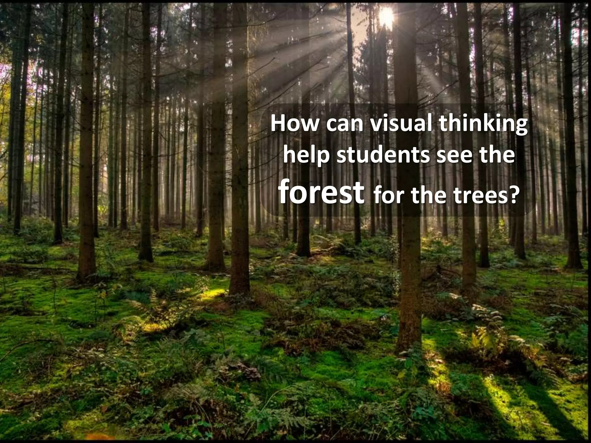 Show and Tell: Visual Thinking in the Classroom | PPT