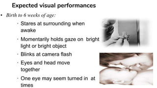 Visual development basics | PPTX