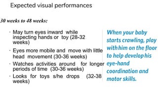 Visual development basics | PPTX