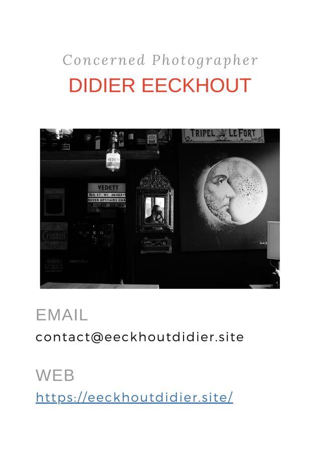 visual diary.pdf