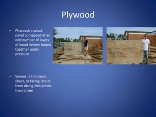 Visual Dictionary - Pylon | PPT