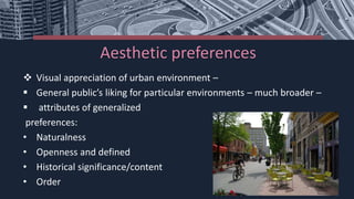 Visual dimension.pptx