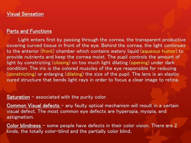 Visual Disorders of the Eye | PPTX | Eye and Vision Conditions | Diseases and Conditions