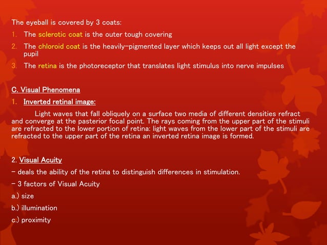 Visual Disorders of the Eye | PPTX | Eye and Vision Conditions | Diseases and Conditions