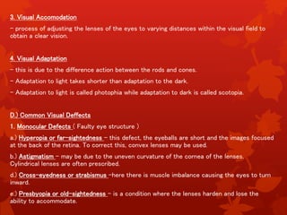 Visual Disorders of the Eye | PPTX