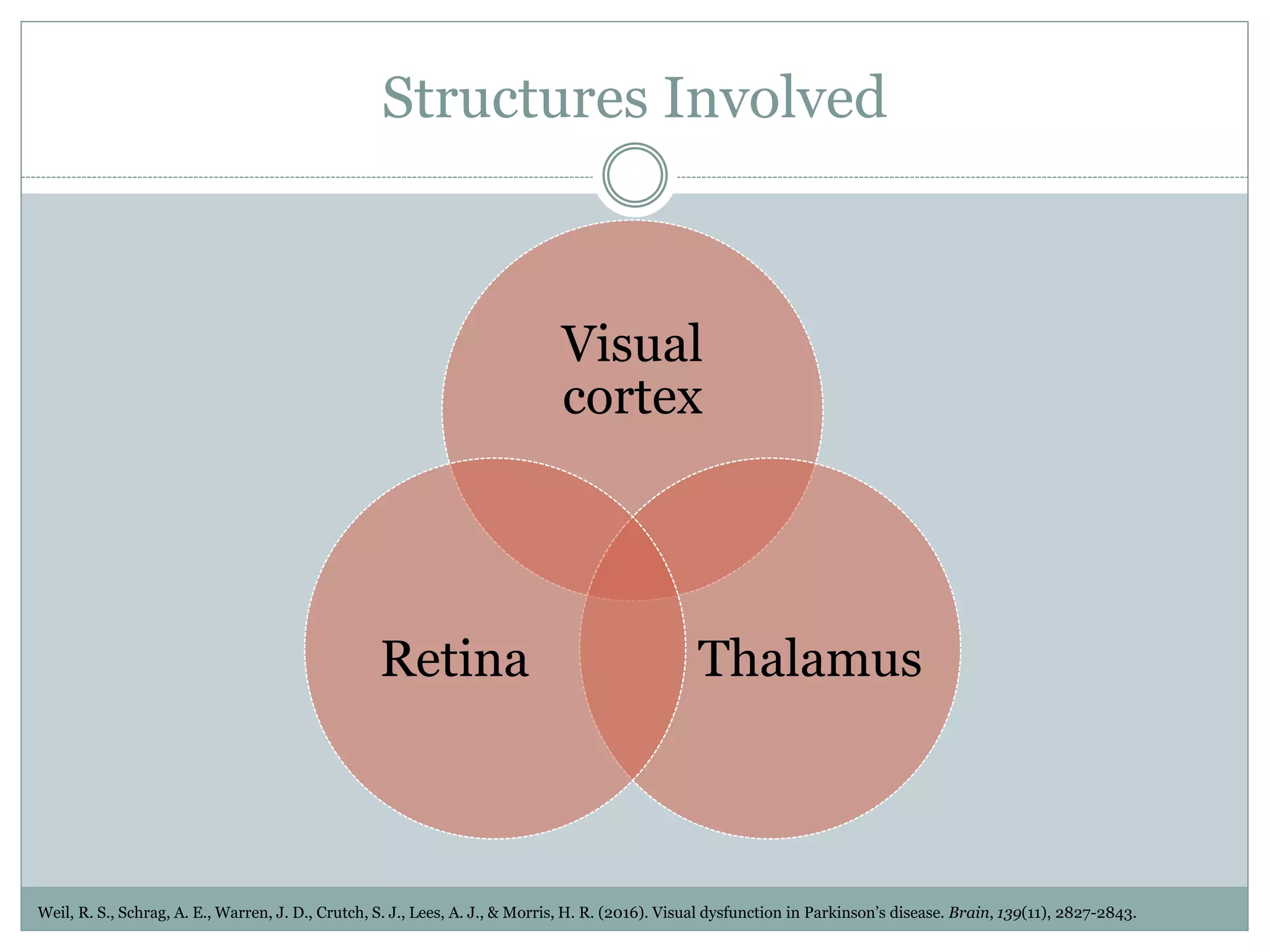Visual Dysfunction in Parkinson Disease | PPTX