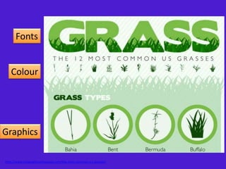 Visual elements of an infographic | PPTX