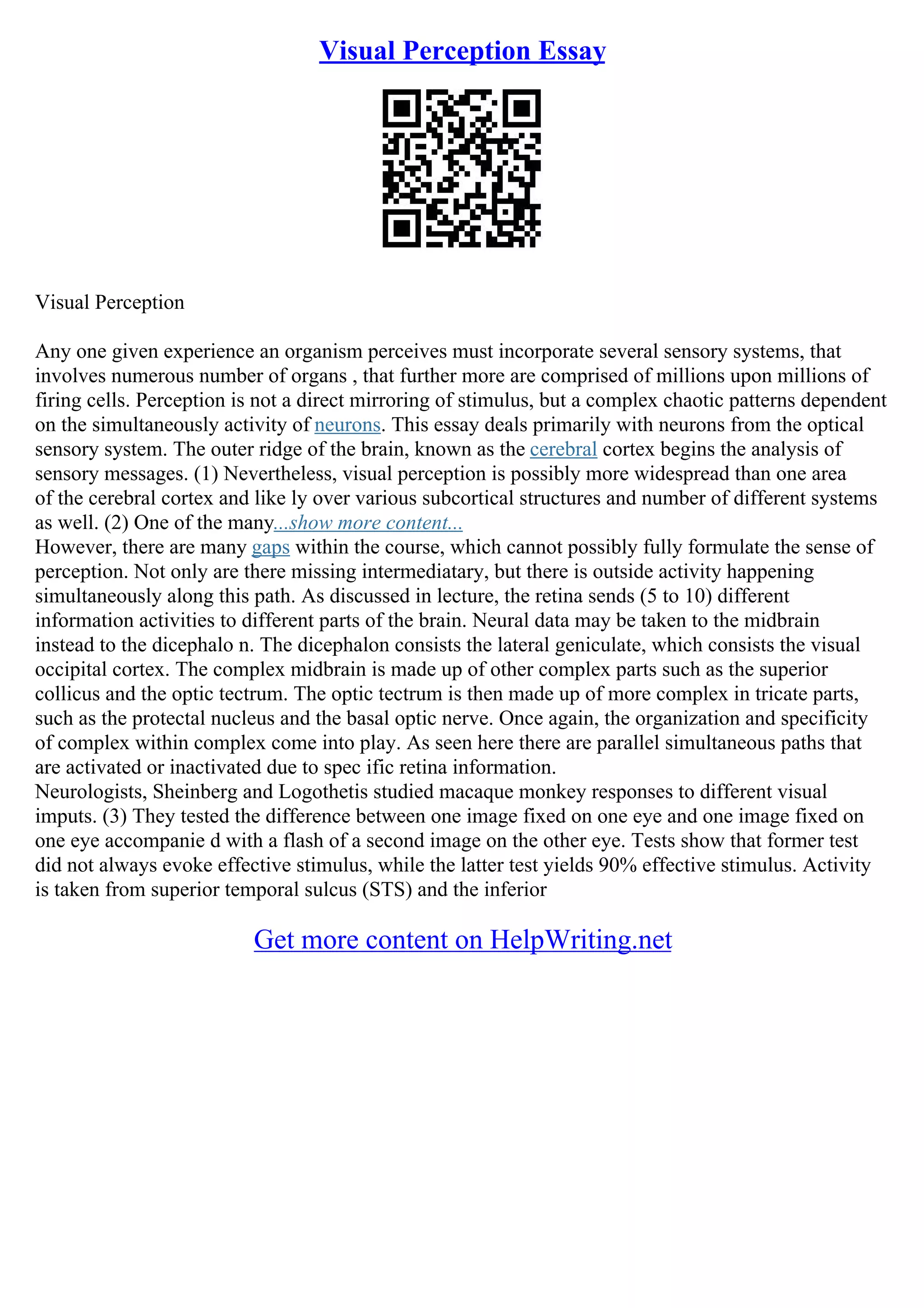 Visual Essay Example | PDF