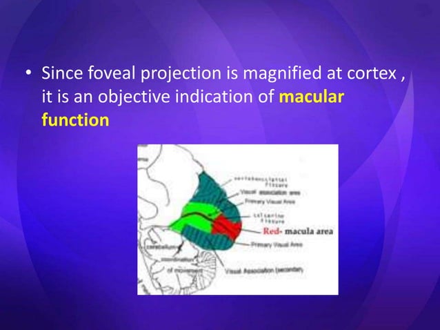 Visual evoked potential | PPTX | Eye and Vision Conditions | Diseases ...