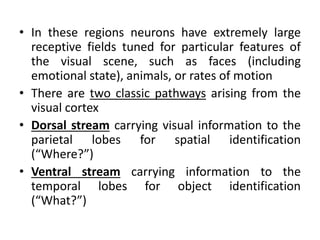 Visual evoked potentials | PPTX