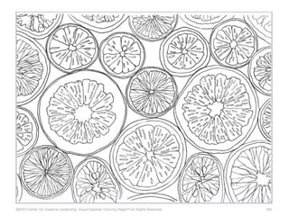 Visual Explorer Special Edition Coloring Book | PPTX