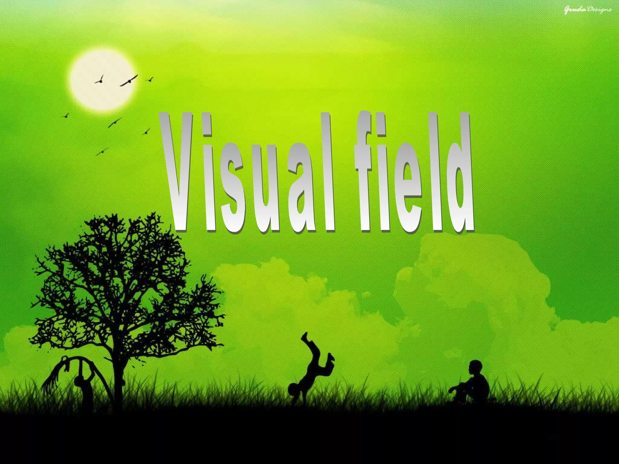 Visual field | PPT