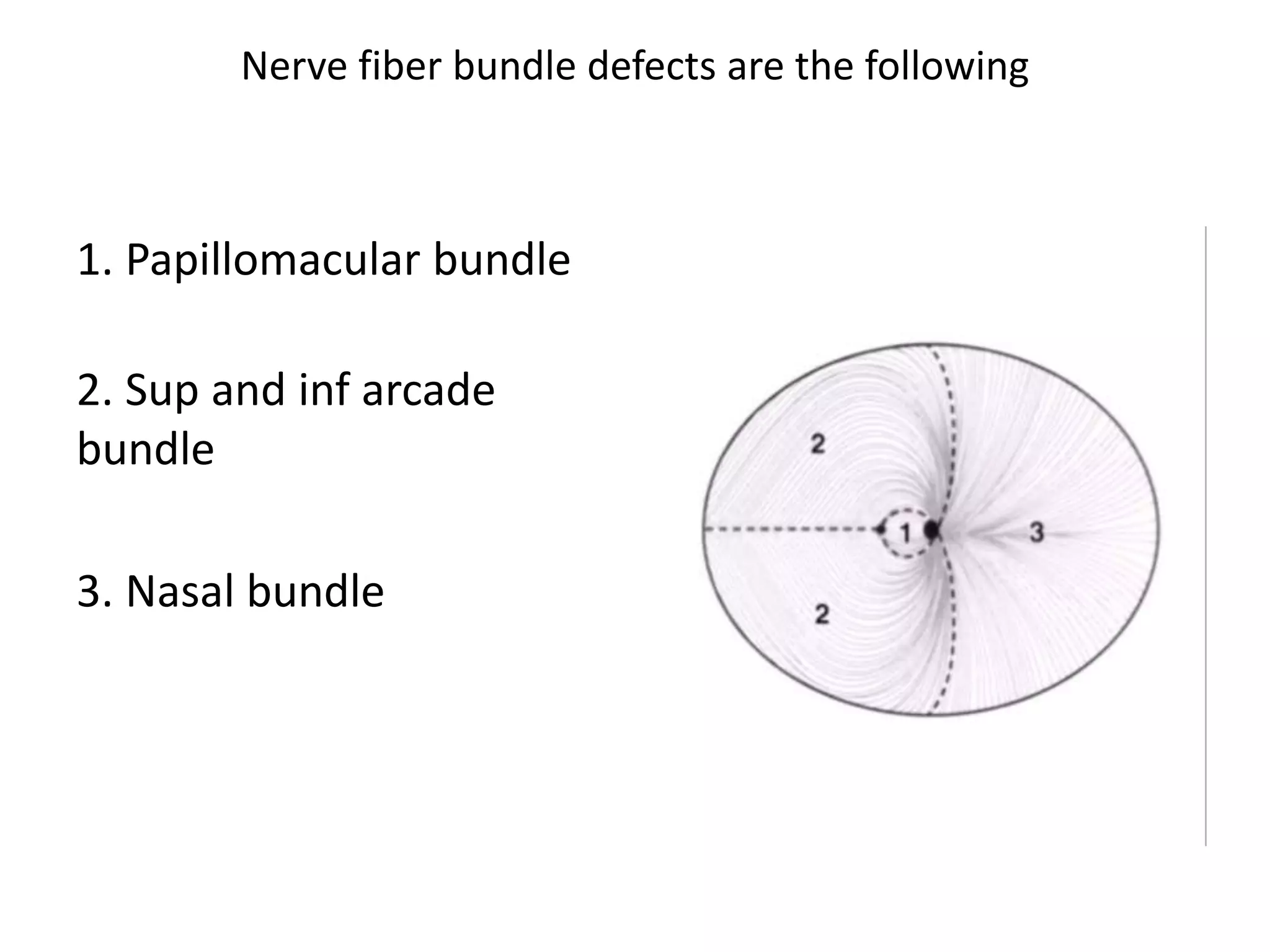 Visual field | PPTX
