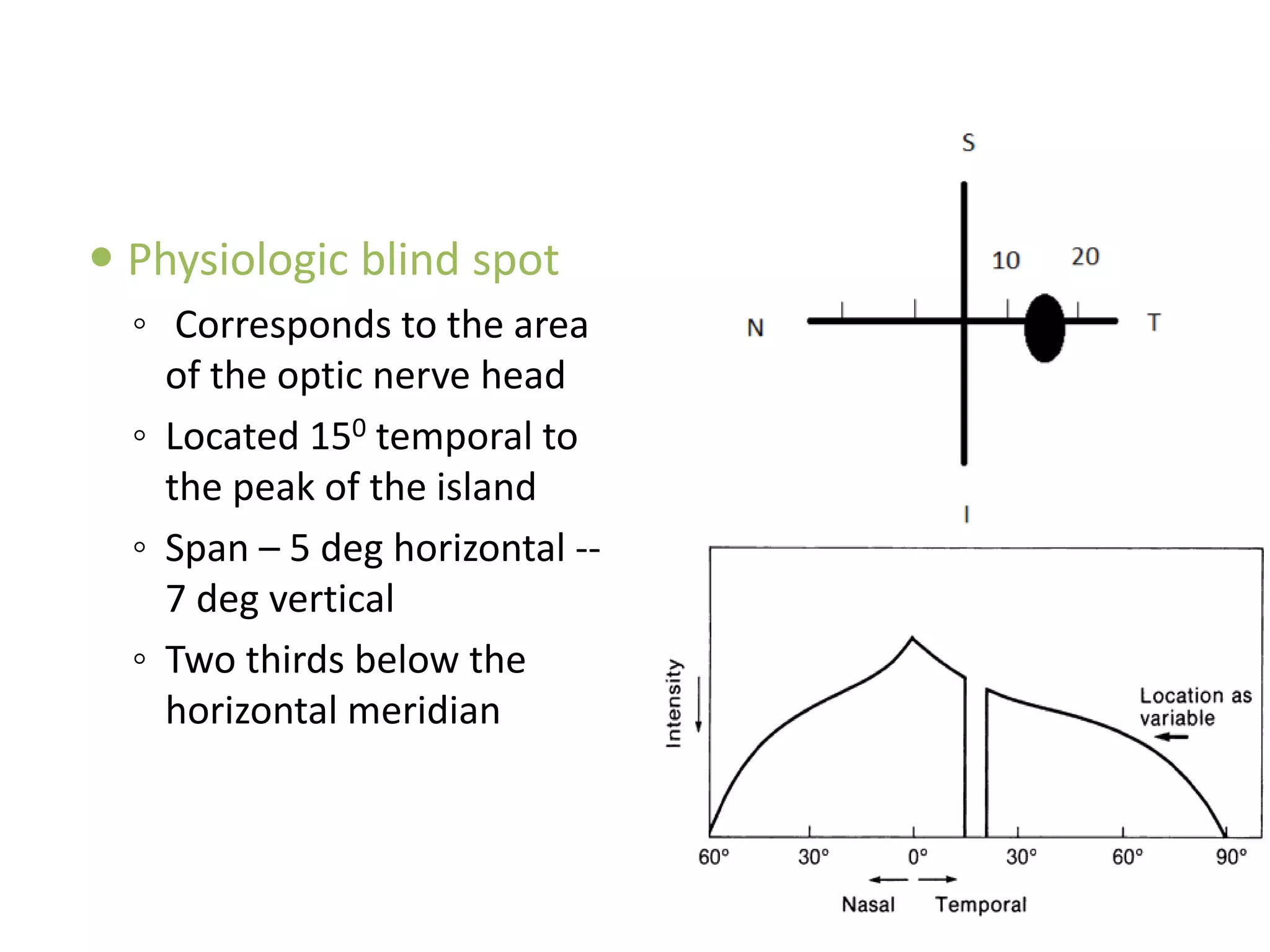 Visual field | PPTX