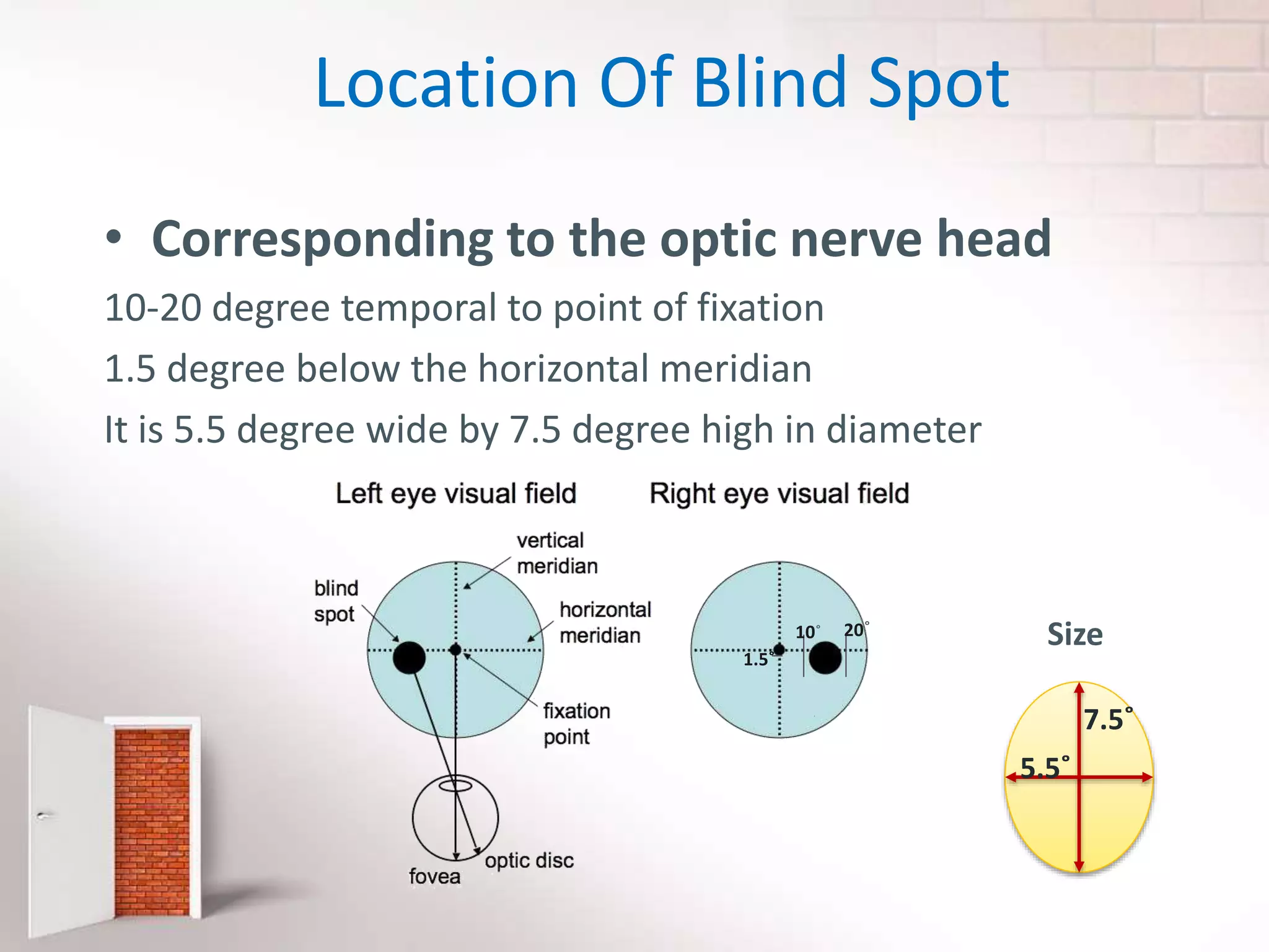 Visual field evaluation | PPTX | Eye and Vision Conditions | Diseases ...