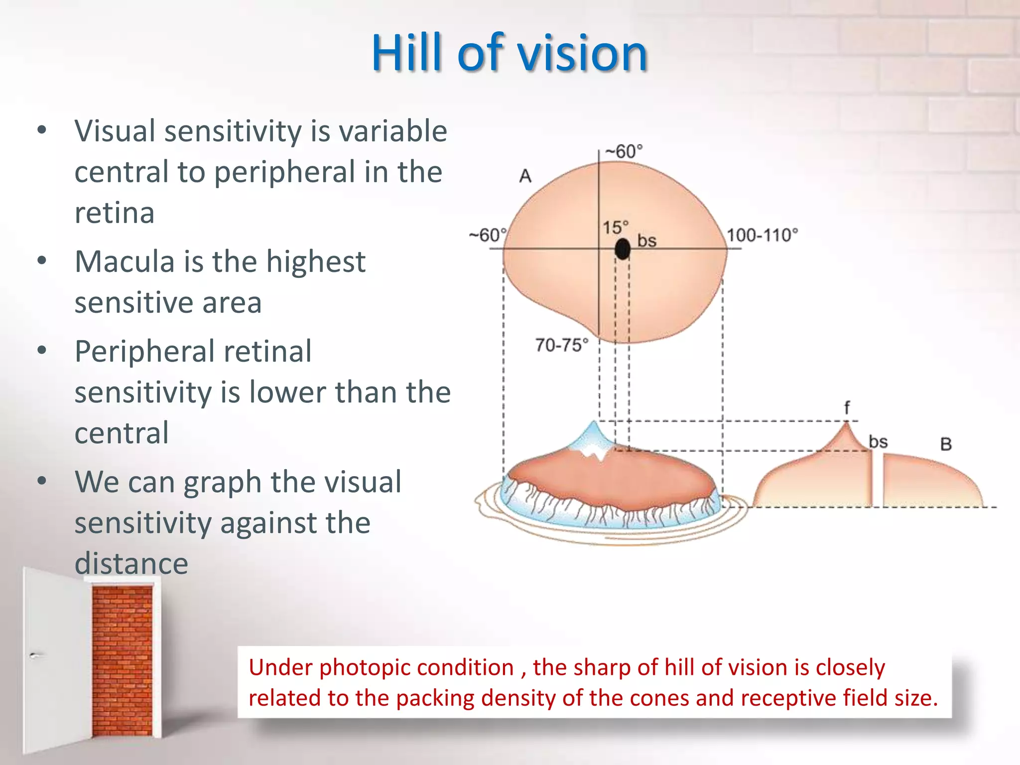 Visual field evaluation | PPTX | Eye and Vision Conditions | Diseases ...