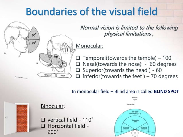 Visual field evaluation | PPTX | Eye and Vision Conditions | Diseases ...