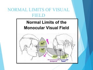 VISUAL FIELD.pptx