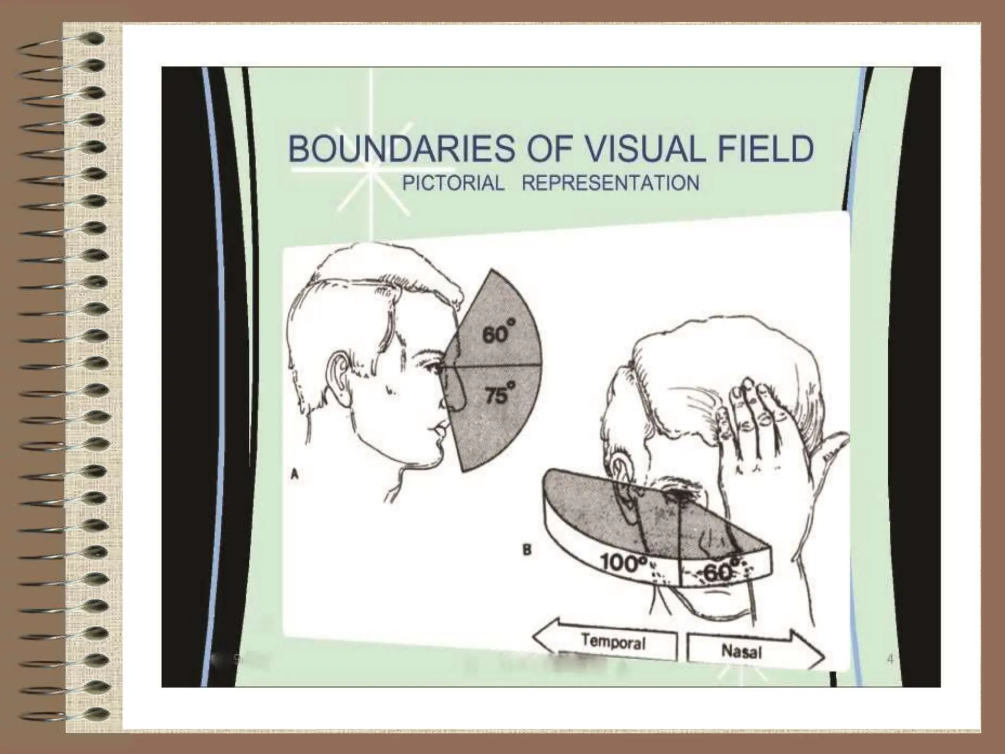 Measurement of Visual field in human.ppt
