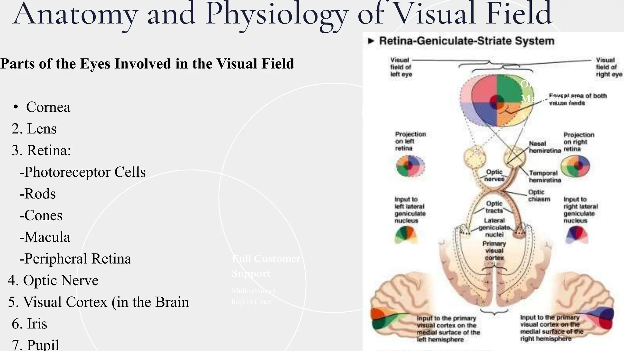 A Visual field Seminar Presentation.pptx