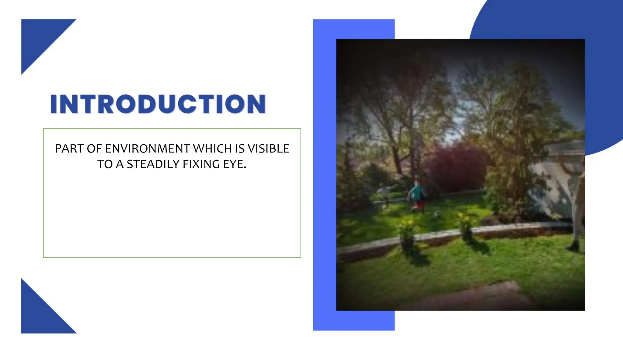 Title: Understanding Visual Field: The Window to Our Visual World.pptx